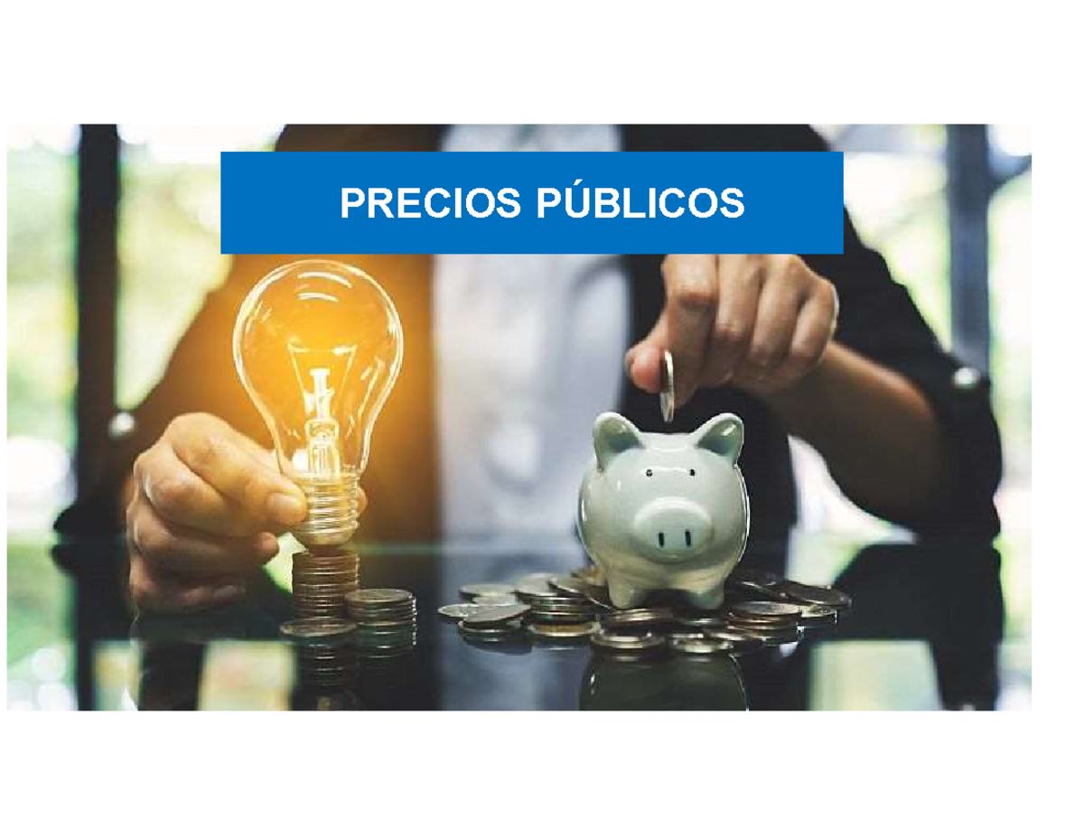 Precios Públicos Nieves 2024 1 slide x página - PRECIOS PÚBLICOS ...