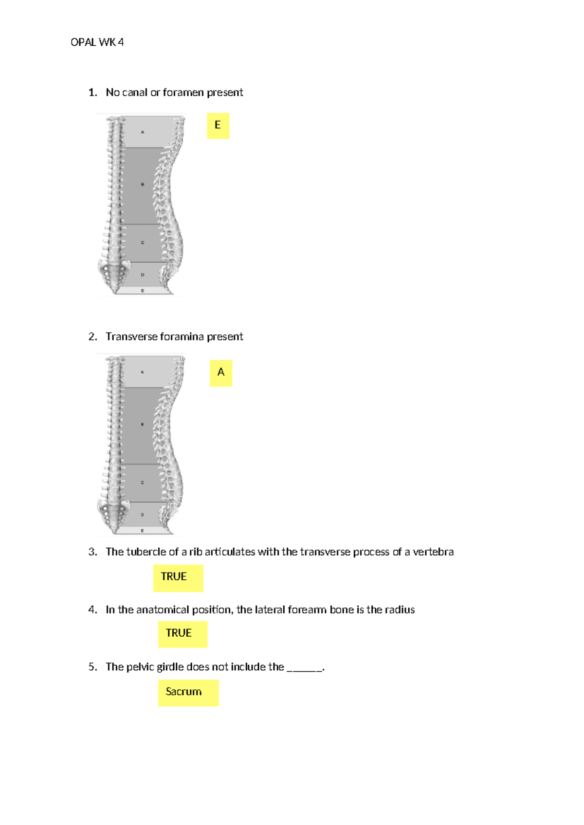OPAL WK4 - OPAL QUIZZES - NOTES - No canal or foramen present ...