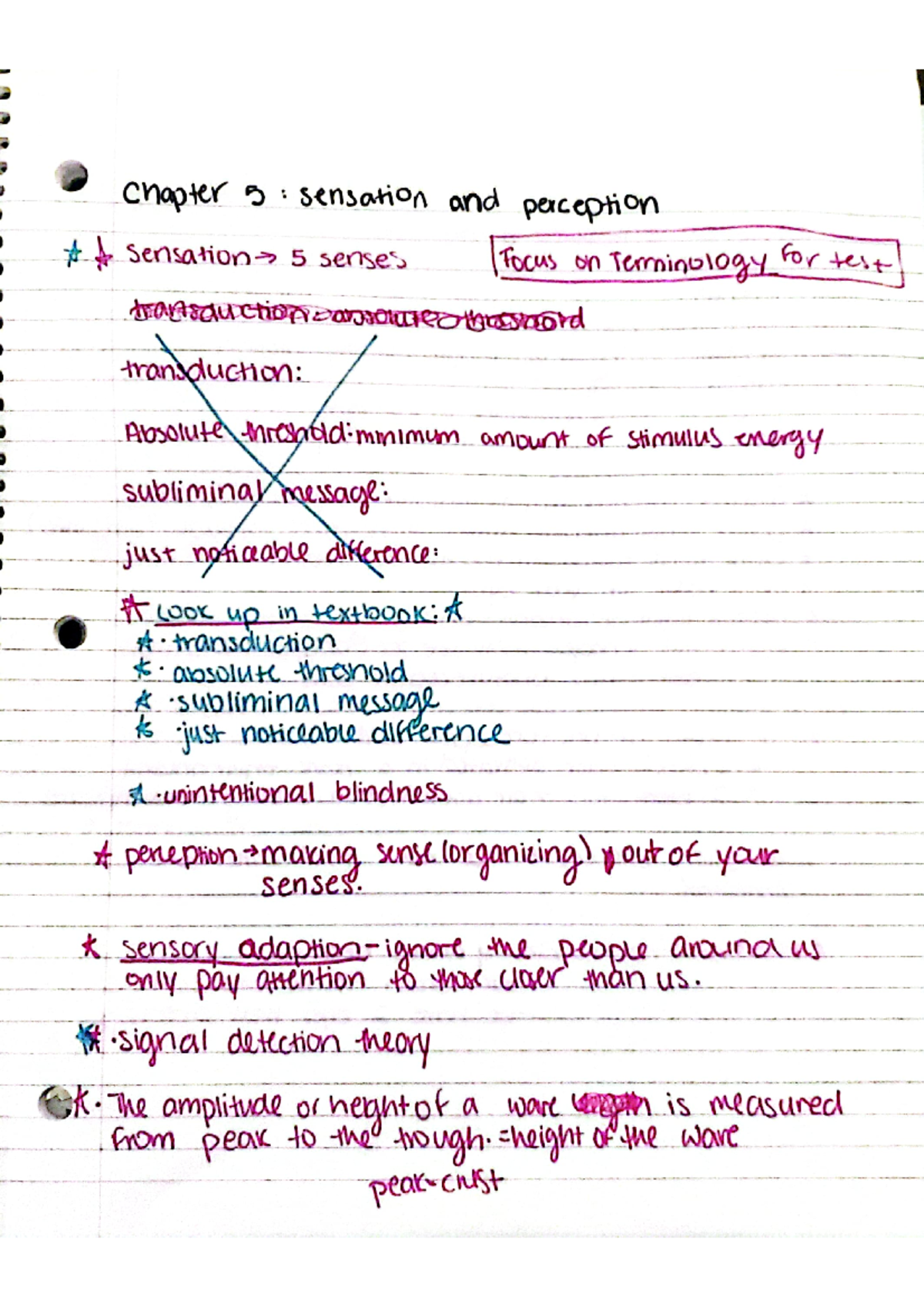 Chapter 5 sensation and perception - PSY 2012 - Studocu