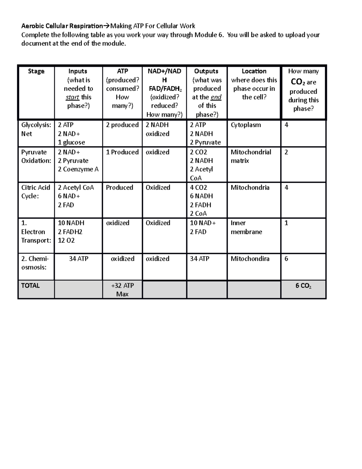 Module 6 Aerobic Cellular Respiration Table - Aerobic Cellular ...
