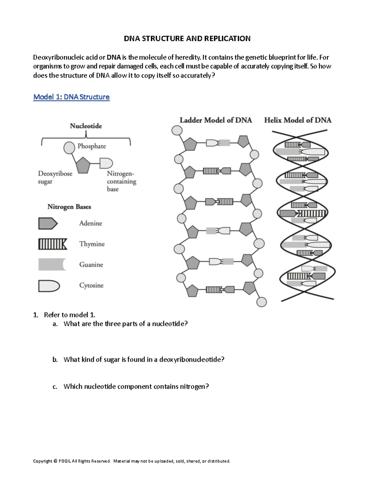 DNA replication worksheet-1-1 - DNA STRUCTURE AND REPLICATION ...