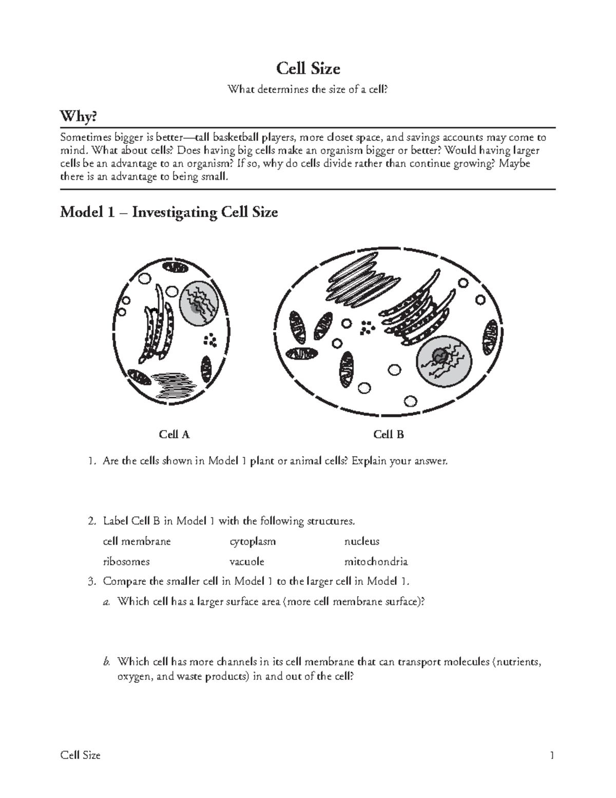 Nikhil Singh - 9 Cell Size-S - Cell Size 1 Cell Size What determines ...