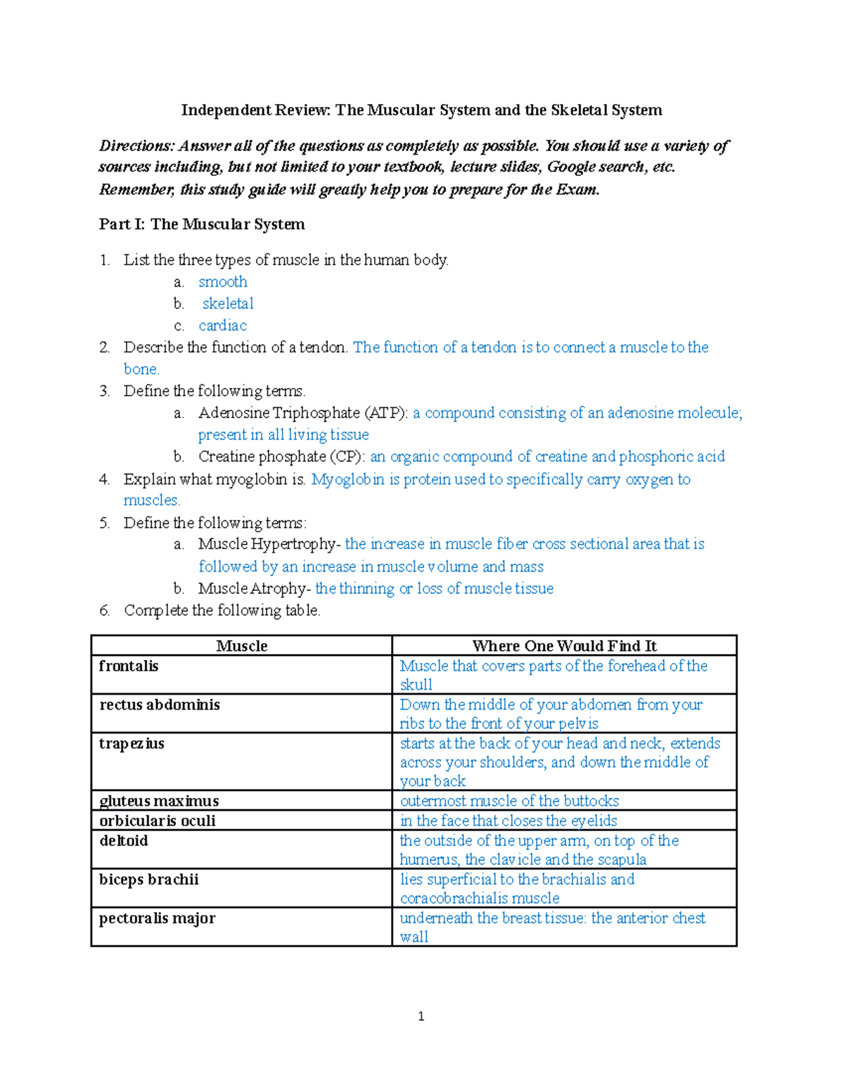 Muscular and Skeletal Systems - Independent Review: The Muscular System ...