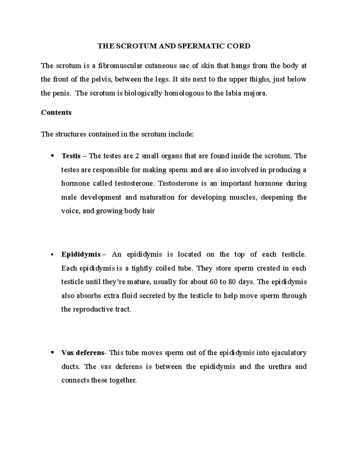 Scrotum and spermatic cord 2 - THE SCROTUM AND SPERMATIC CORD The ...