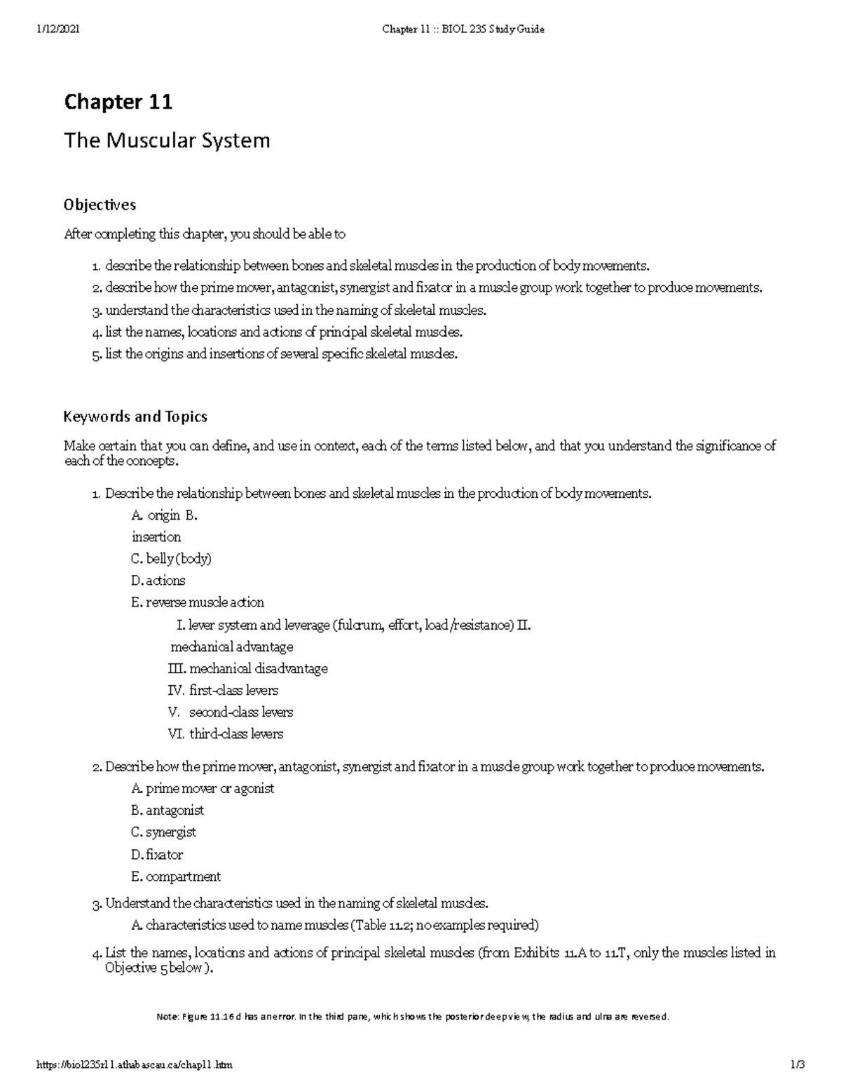 Chapter 11 BIOL 235 Study Guide - 1/12/2021 Chapter 11 :: BIOL 235 ...