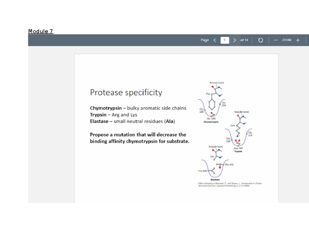 Biochemistry Note - BCH 4053 - Module Module - Studocu