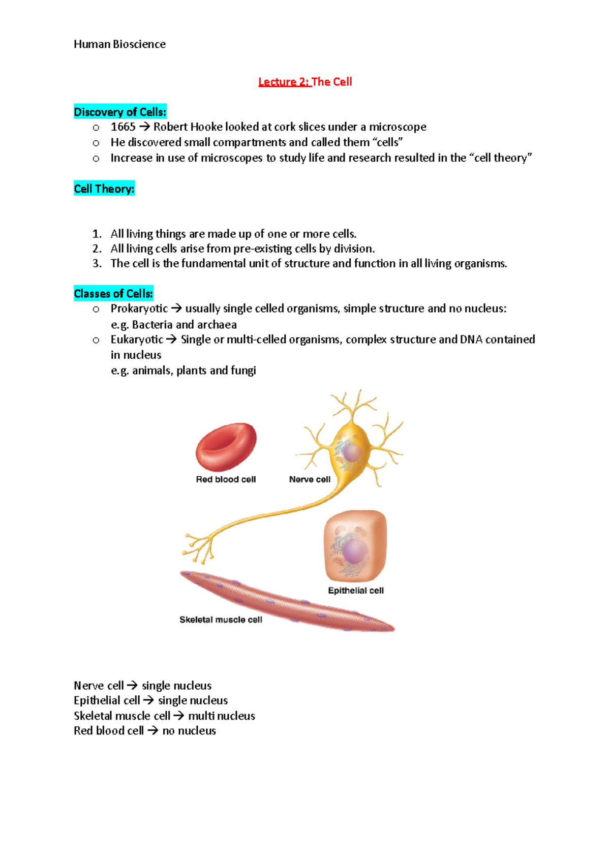 Lecture 2- The Cell Notes - Human Bioscience Lecture 2: The Cell ...