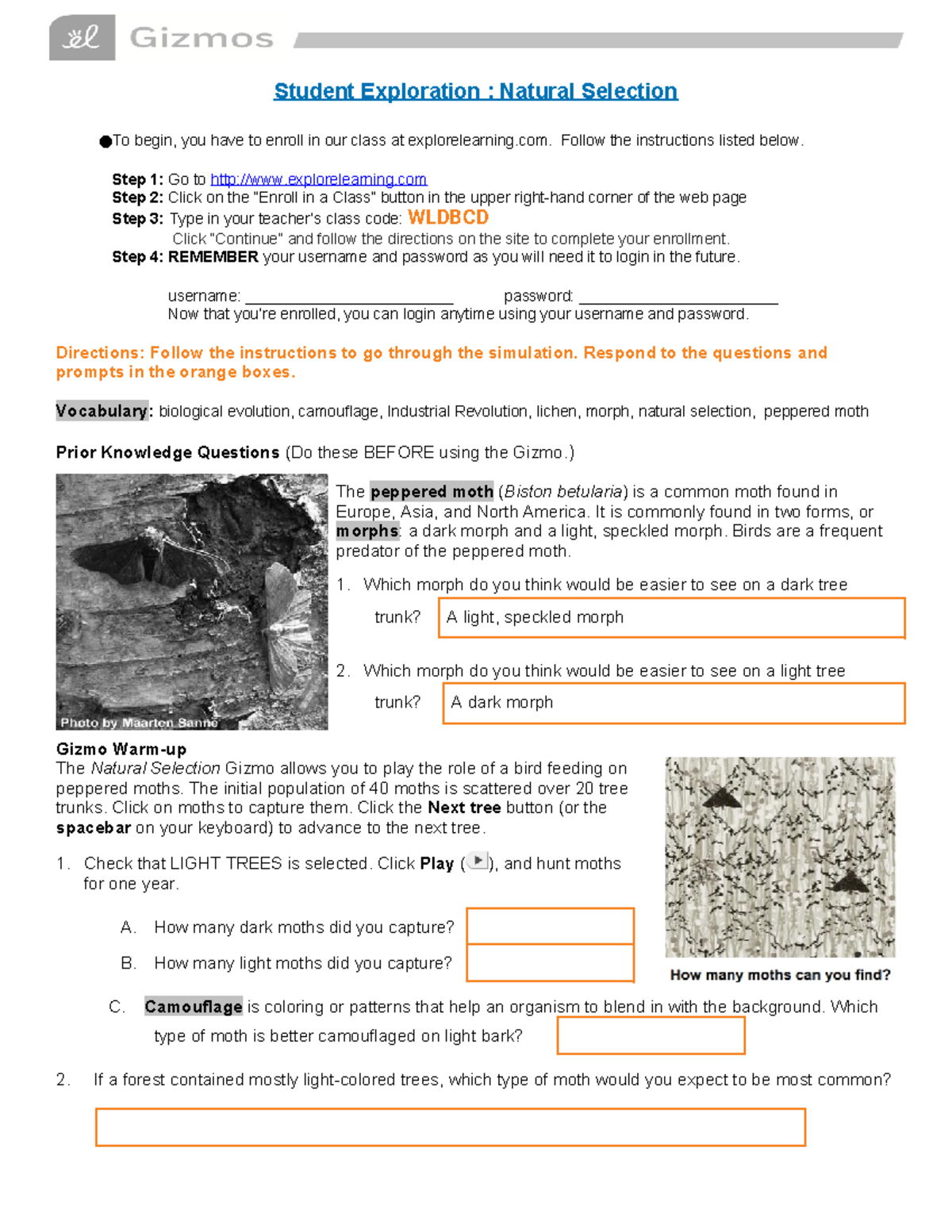 7.1 Gizmo-Moths & Natural Selection-P3 - Student Exploration : Natural Selection To begin, you ...