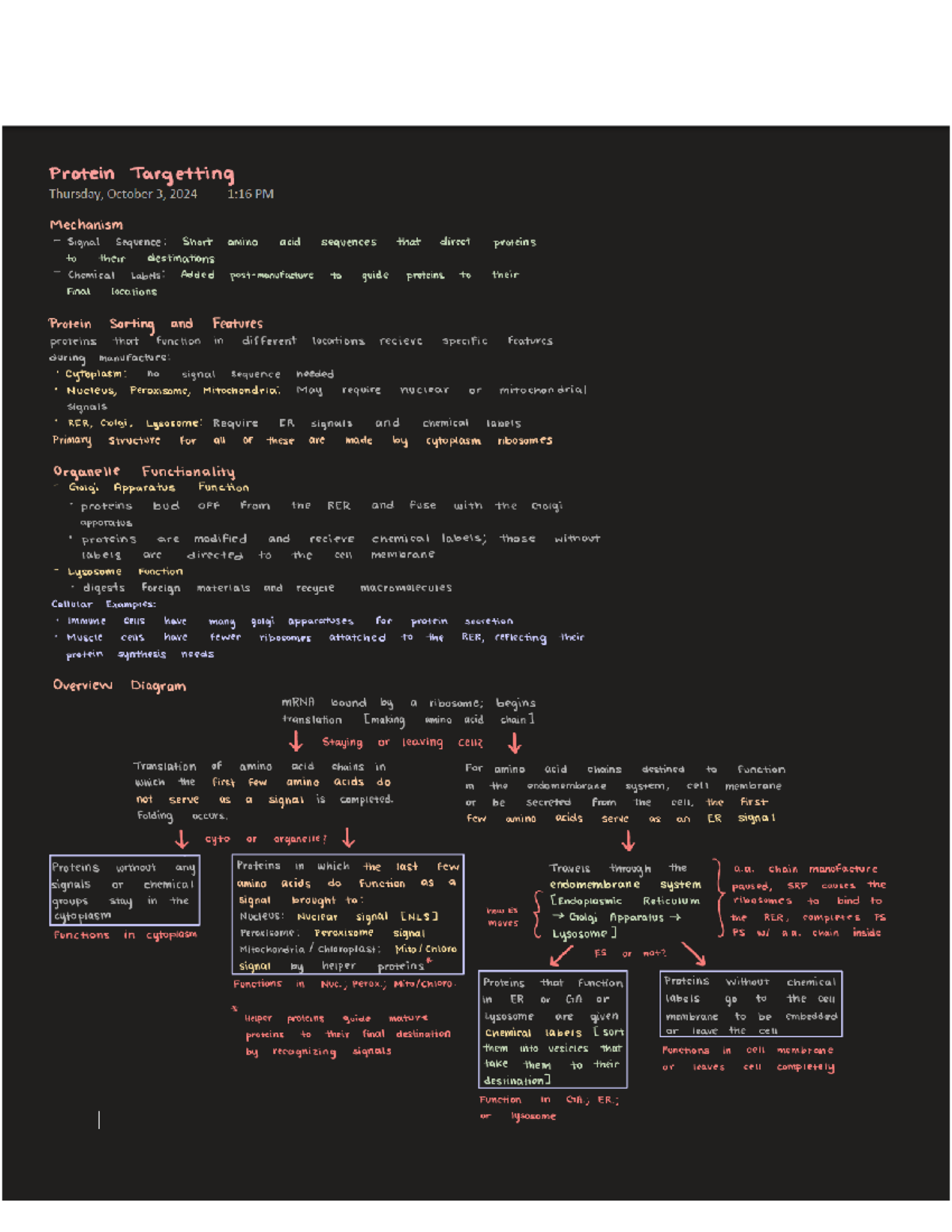 Protein targetting - Cytoplasm no signal Sequence needed . Nucleus ...