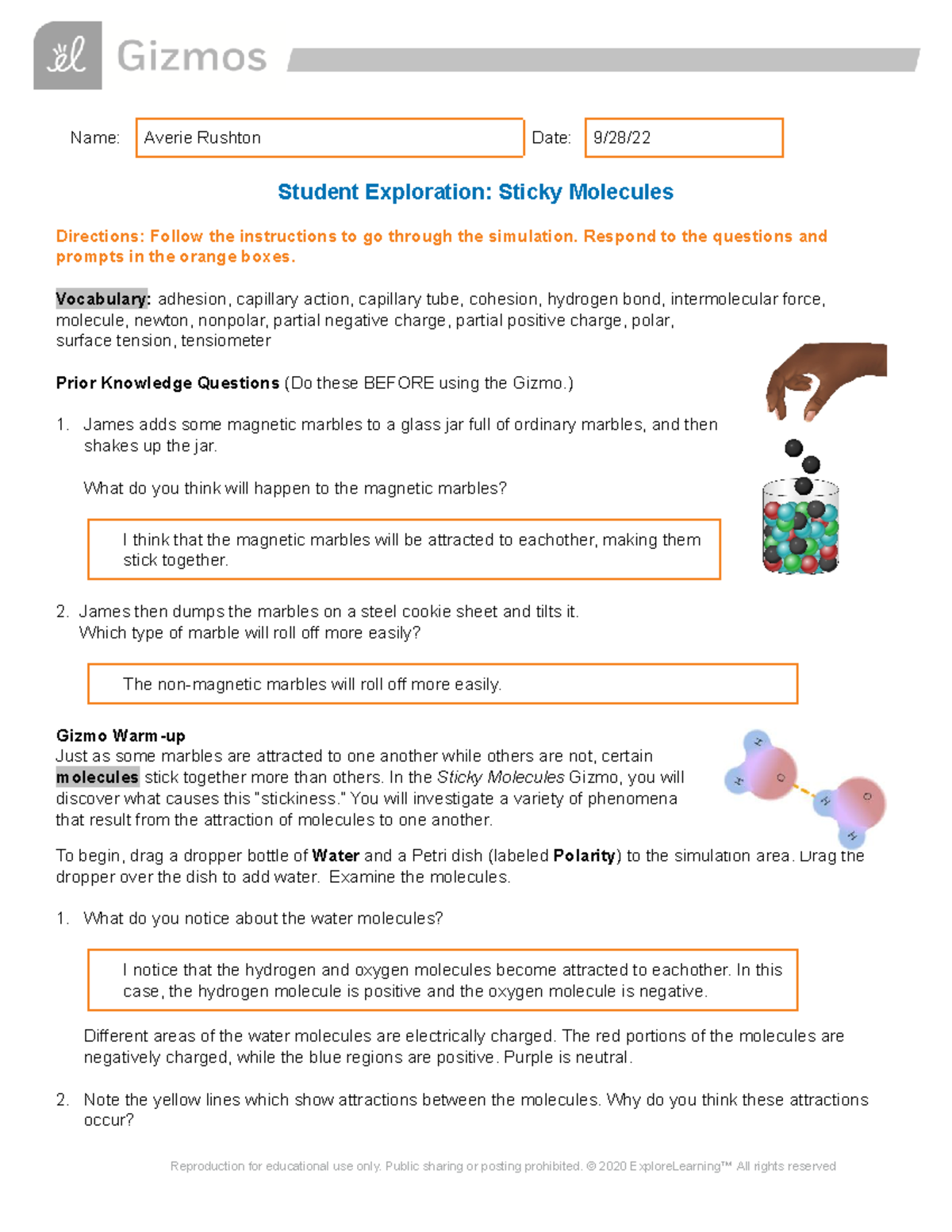 Copy of Copy of Sticky Molecules SE - Google Docs - Name: Averie ...