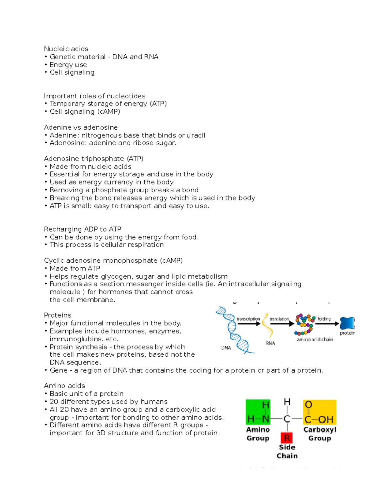 Nucleic ACID Notes - Nucleic acids Genetic material - DNA and RNA ...