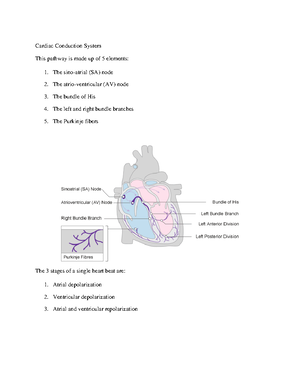 Unit 12 LAA Booklet - BTEC Health & Social Care Unit 12 Supporting ...