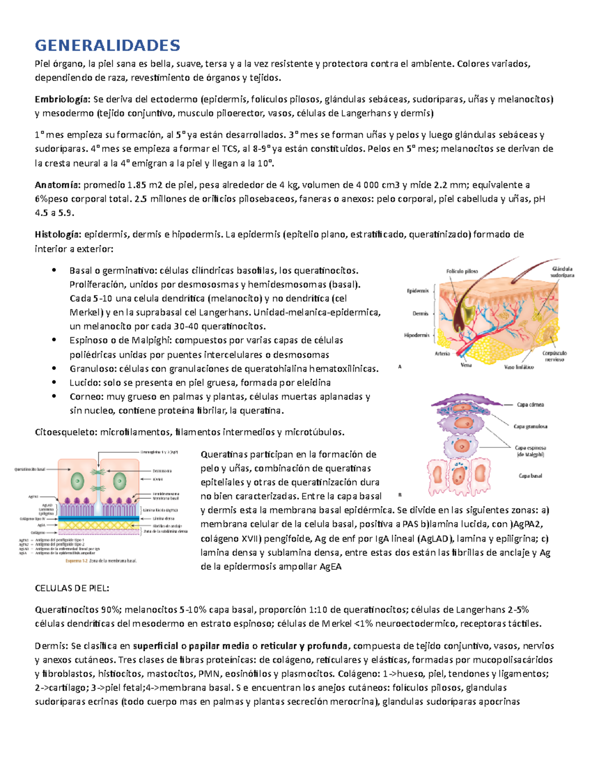 1.-derma. generalidades - GENERALIDADES Piel órgano, la piel sana es ...