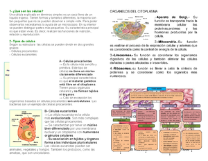 Surviving-Sepsis-Guideline-Infographic-Spanish-Translations ...