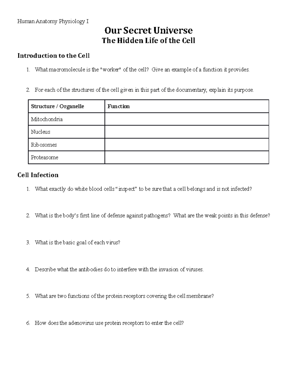 Secret Un - This is coursework for Human Anatomy Physiology I. - Human ...
