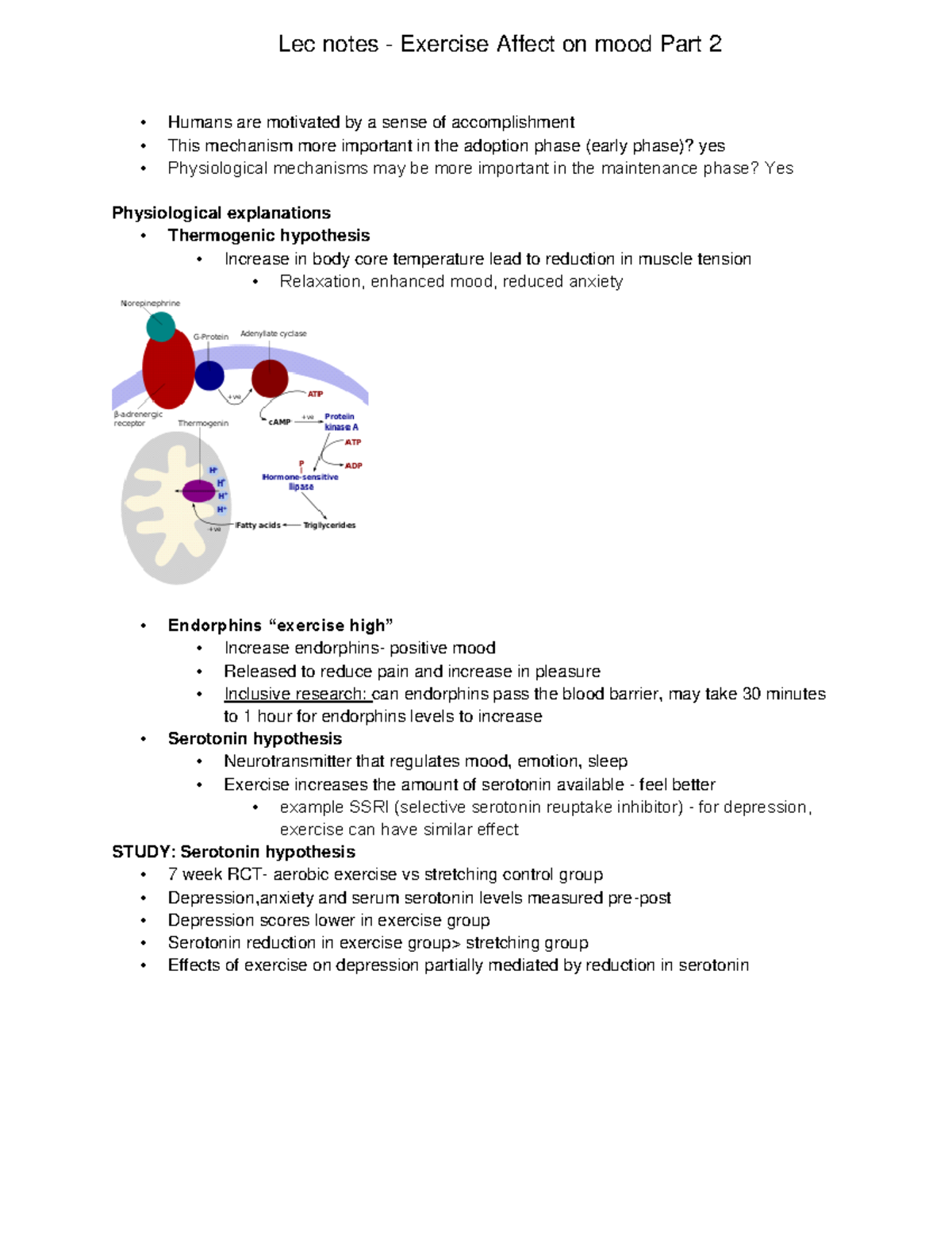 Lec notes - Exercise Affect on mood Part 2 - Humans are motivated by a ...