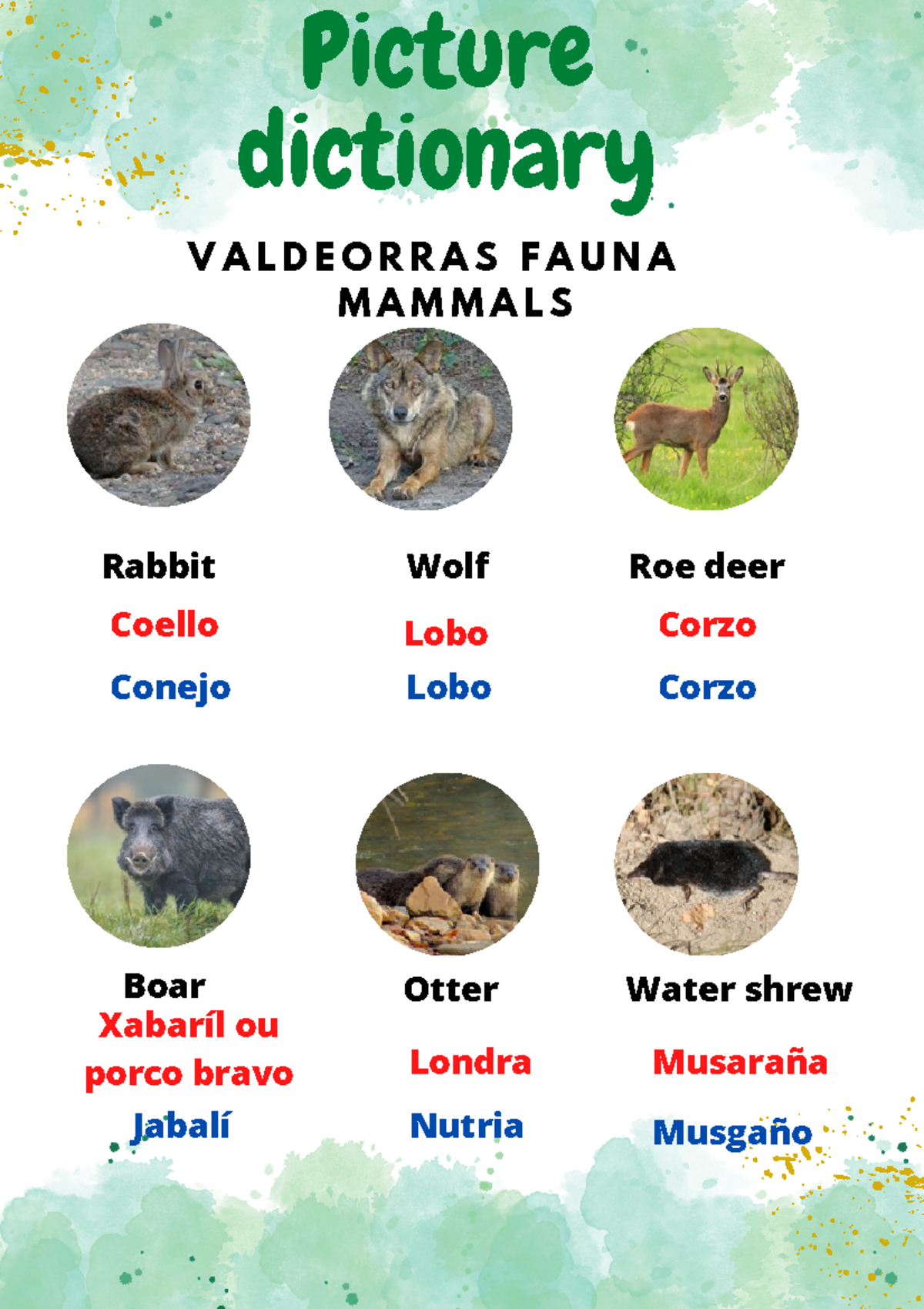 Picture dictionary - dictionary V A L D E O R R A S F A U N A M A M M A ...