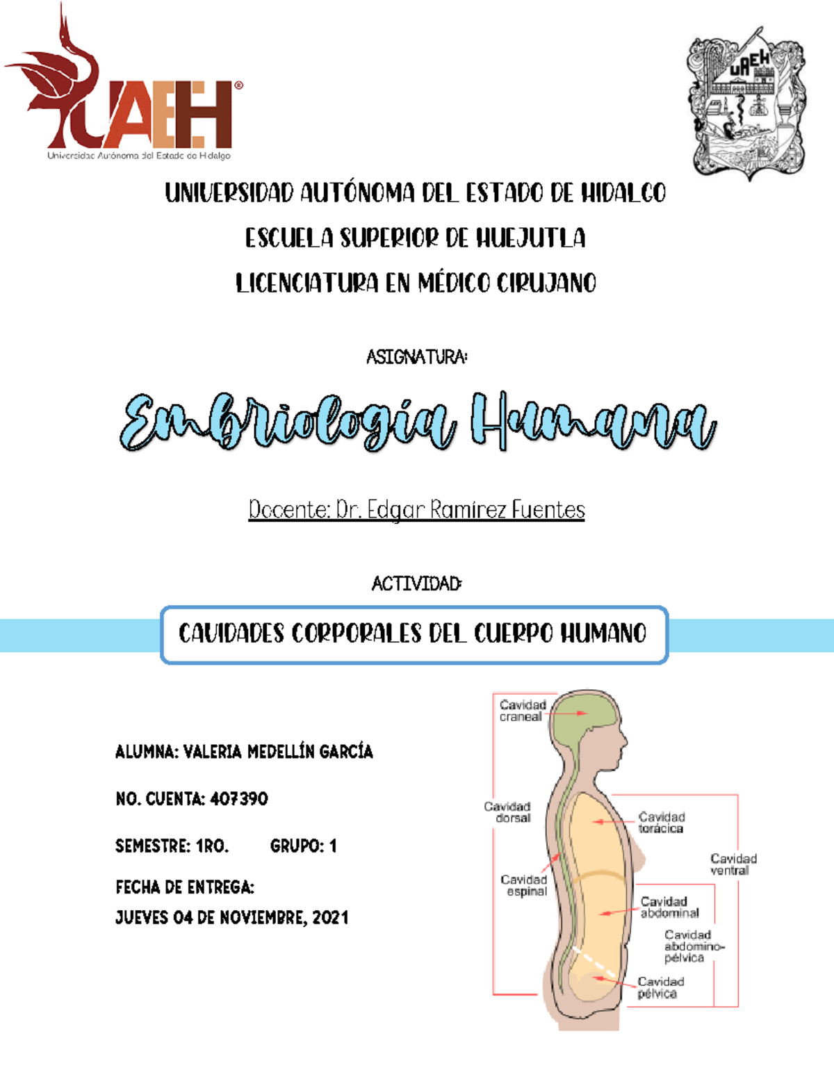 Cavidades corporales. Tipos y clasificación y descripciones ...