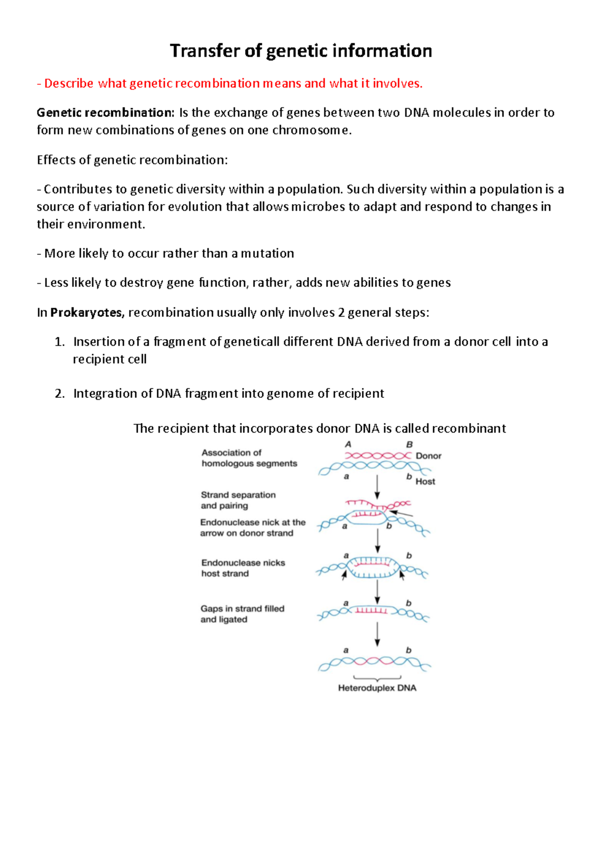 Transfer of genetic information copy - Transfer of genetic information ...