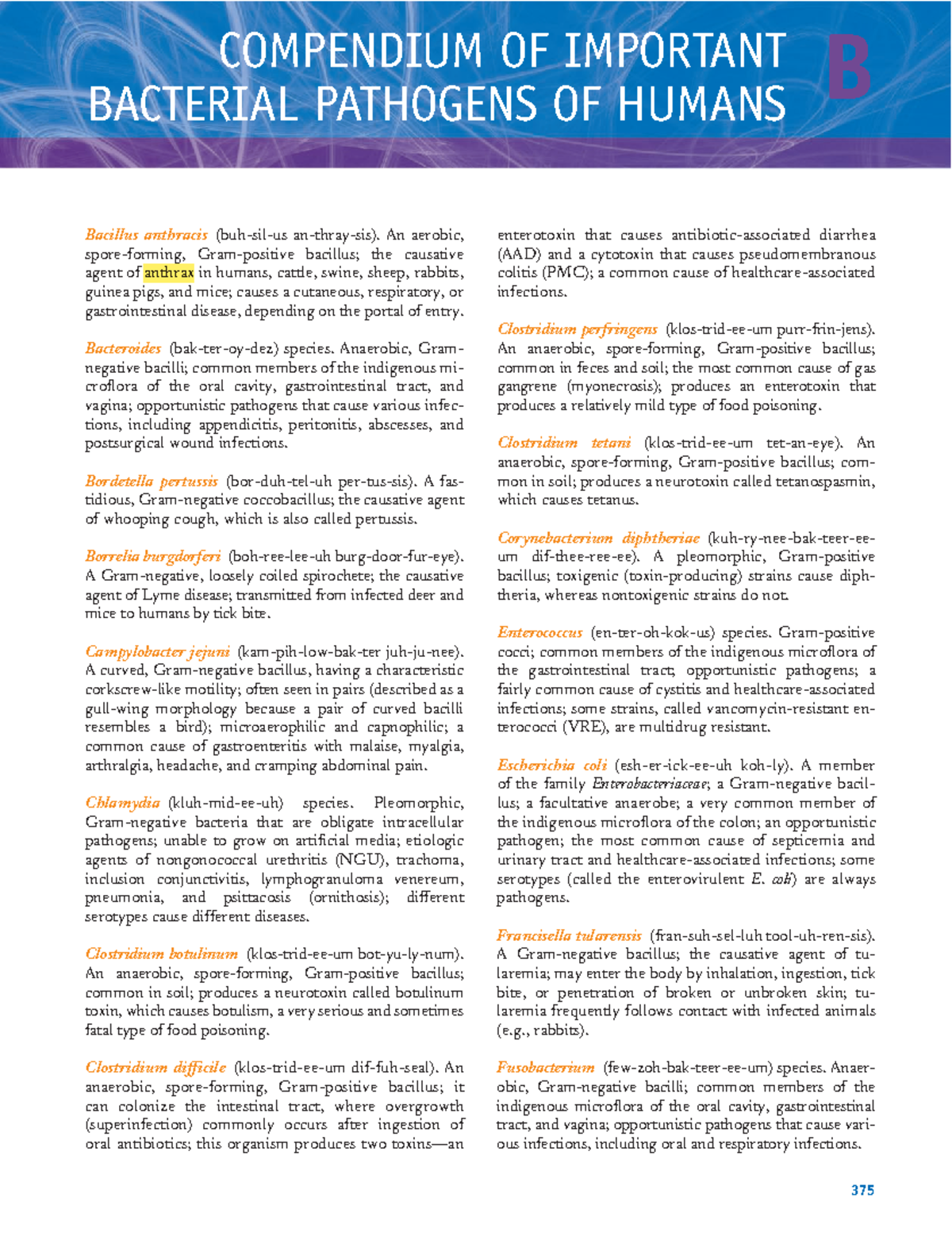 Bacterial Pathogens OF Humans - 375 Bacillus anthracis (buh-sil-us an ...
