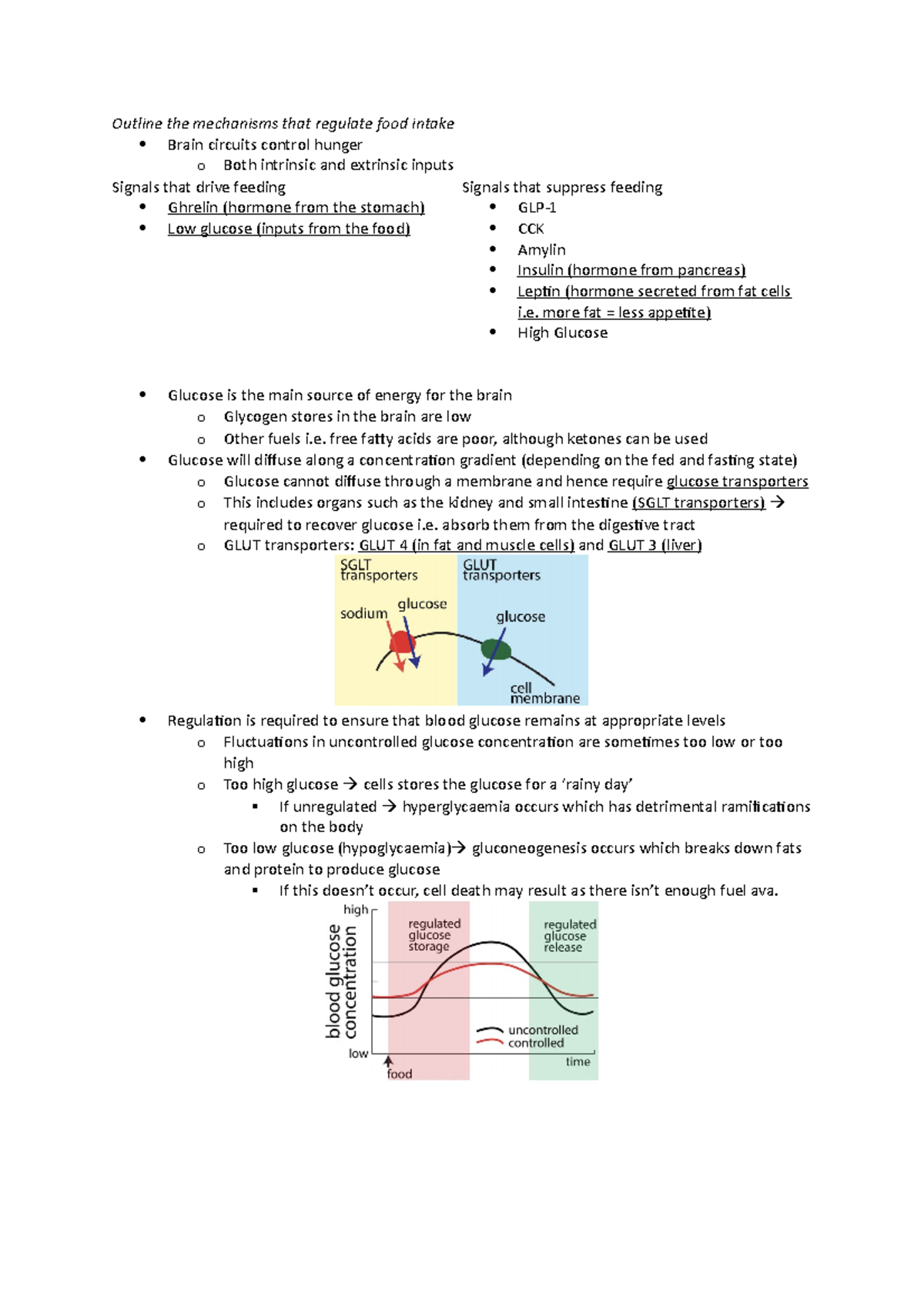 Module 1 - Outline the mechanisms that regulate food intake Brain ...