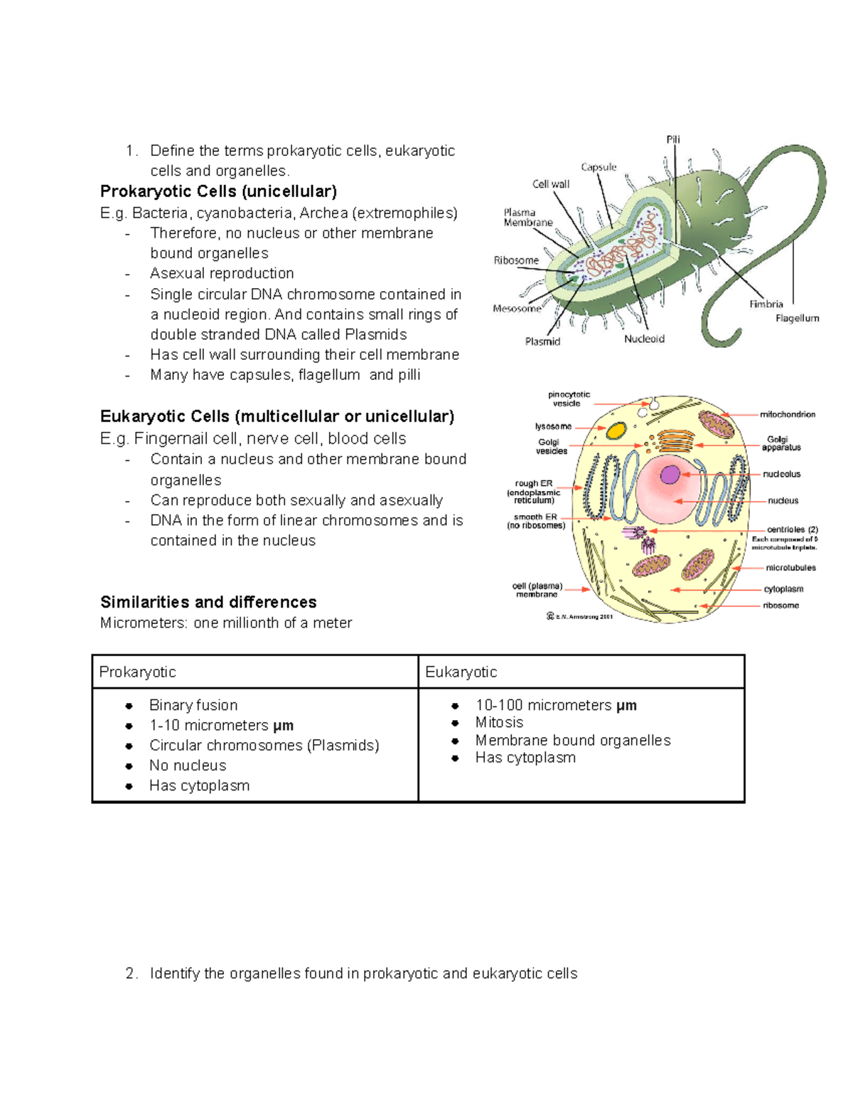 Bio notes - Define the terms prokaryotic cells, eukaryotic cells and ...