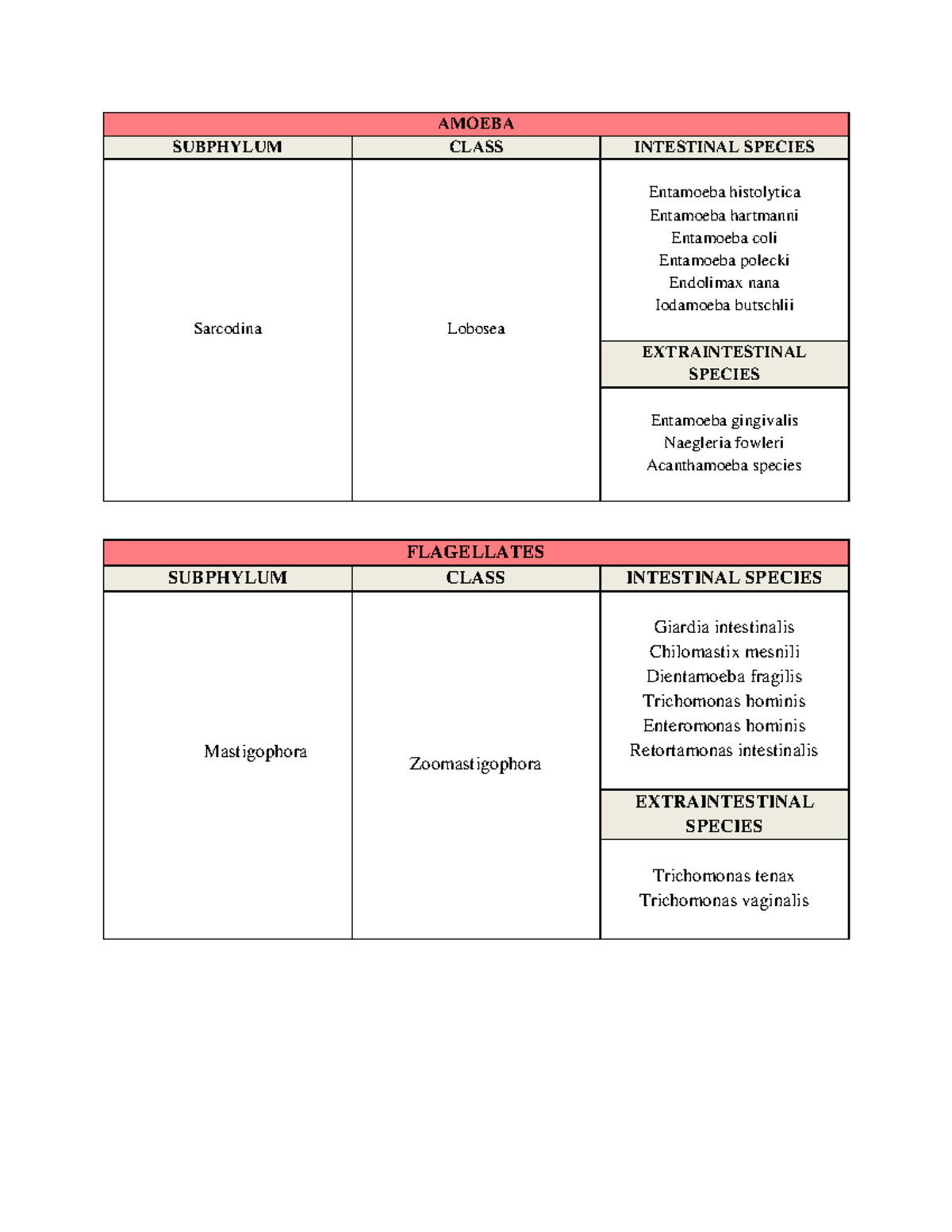 ALL- Parasite-M1 - ryjwryjrwyjswrj - AMOEBA SUBPHYLUM CLASS INTESTINAL ...