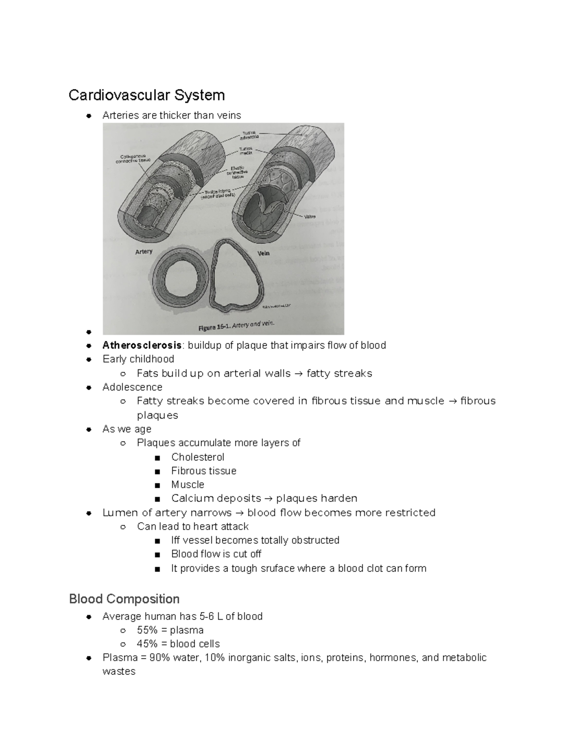 Bio lab 11 17 study guide - Cardiovascular System Arteries are thicker ...