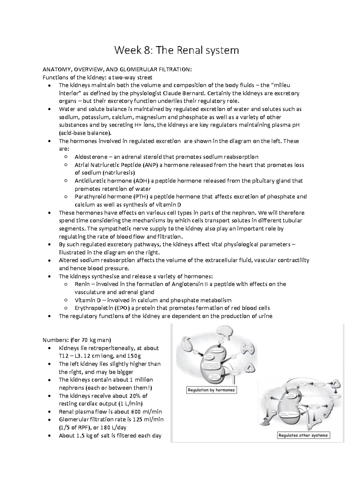 Renal system notes - Week 8: The Renal system ANATOMY, OVERVIEW, AND ...