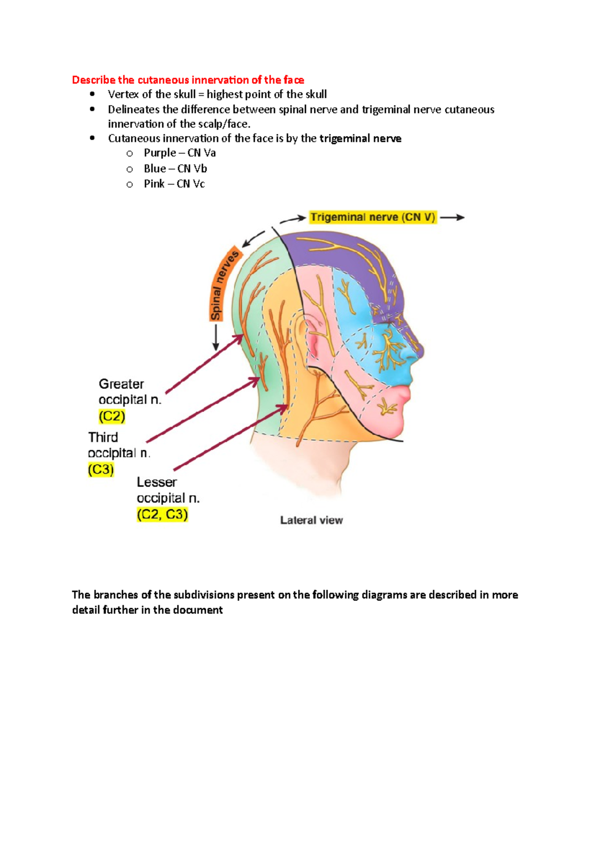 10. Muscles of facial expression - Describe the cutaneous innervation ...
