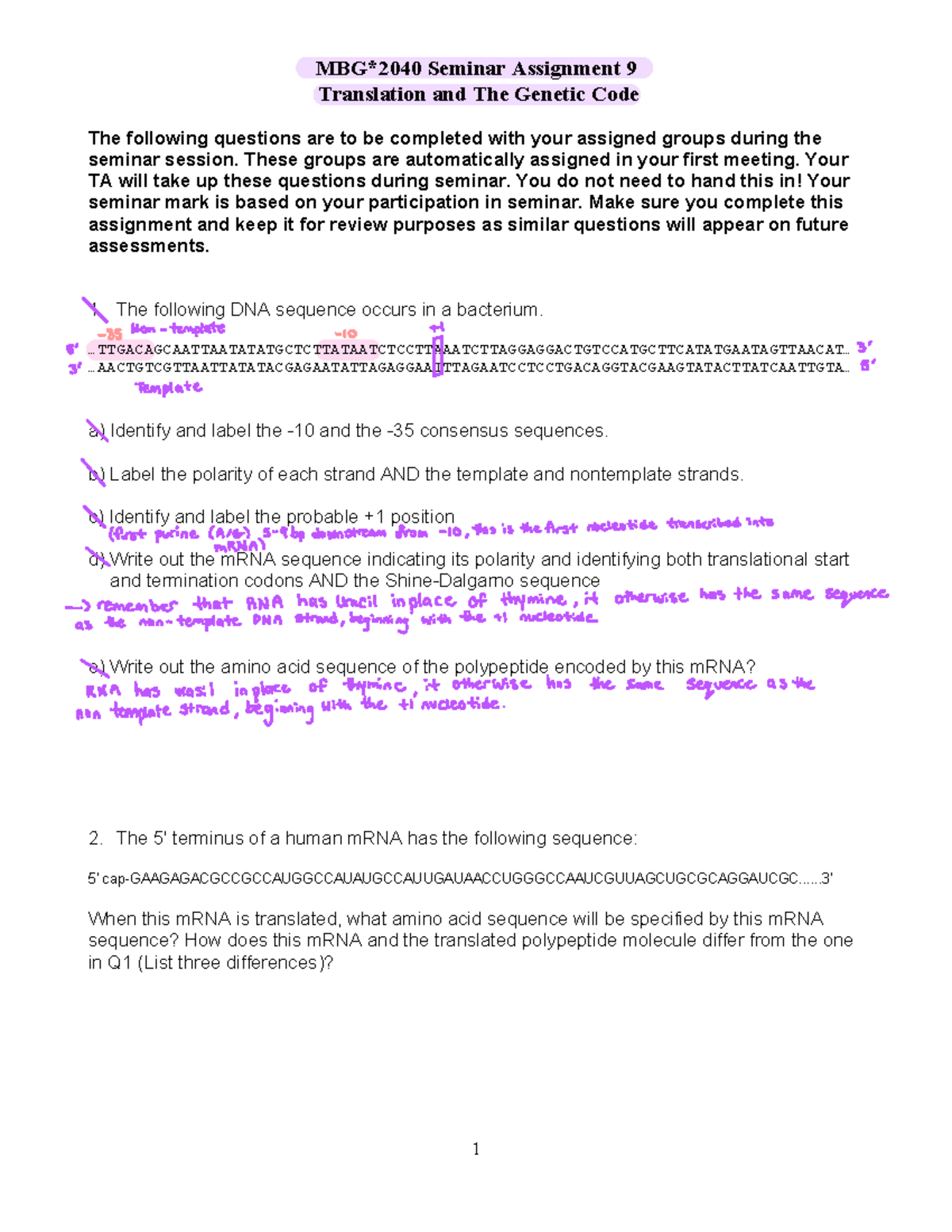 Translation and Genetic Code seminar - Translation and The Genetic Code ...
