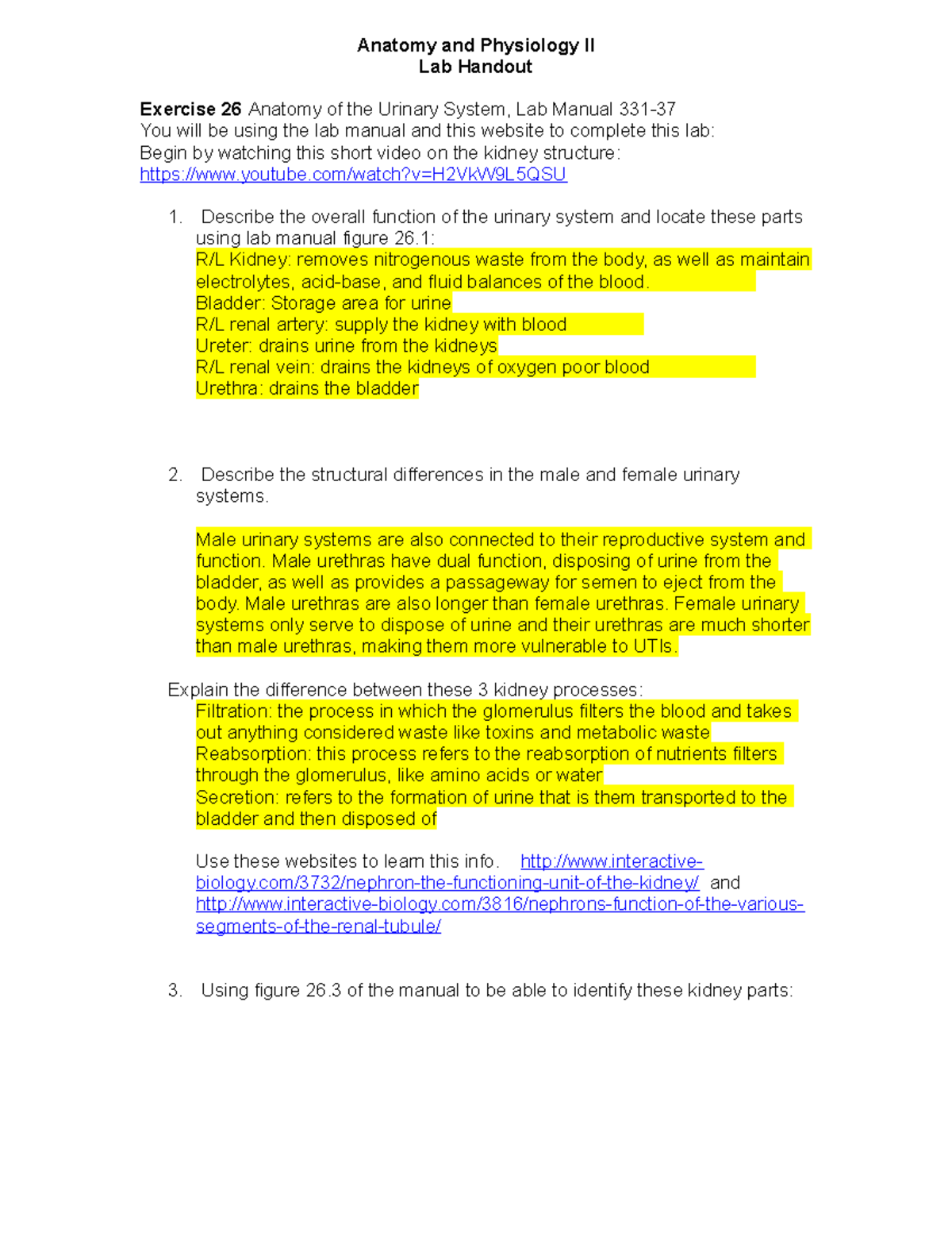 Ap2 ex 26 urinary system - Anatomy and Physiology II Lab Handout ...