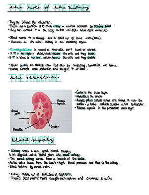 Anatomy Physiology (Chapter 17 Nutrition, Metabolism, Body Temperature ...
