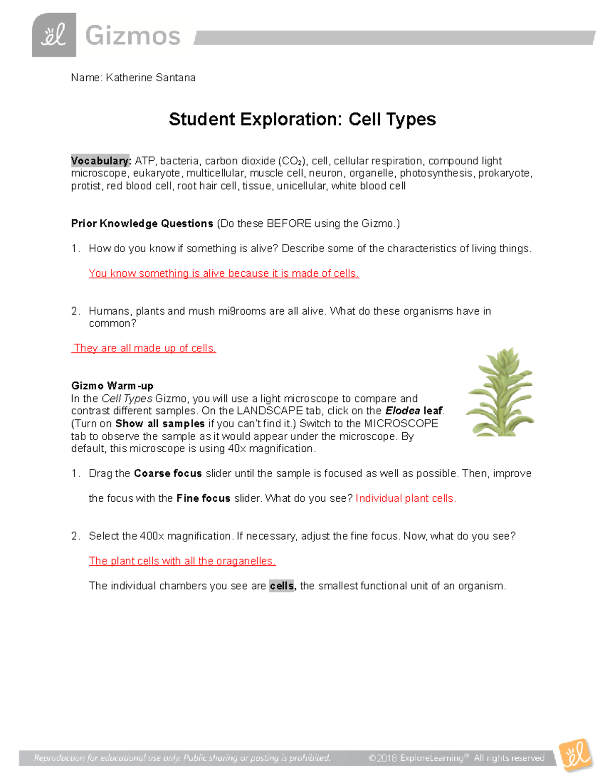 Gizmo-cell types-classwork - Name: Katherine Santana Student ...