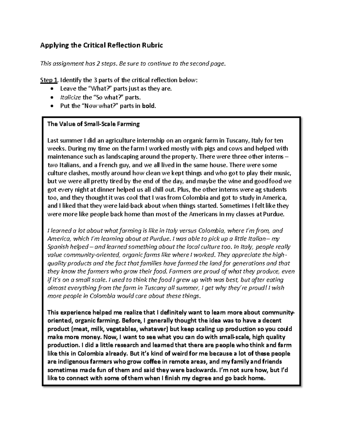 Applying the Critical Reflection Rubric v2 - Applying the Critical ...