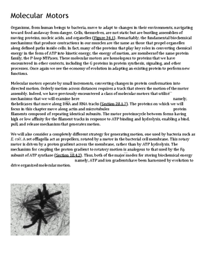 Most Molecular Motor Proteins Are Members of the PLoop NTPase ...