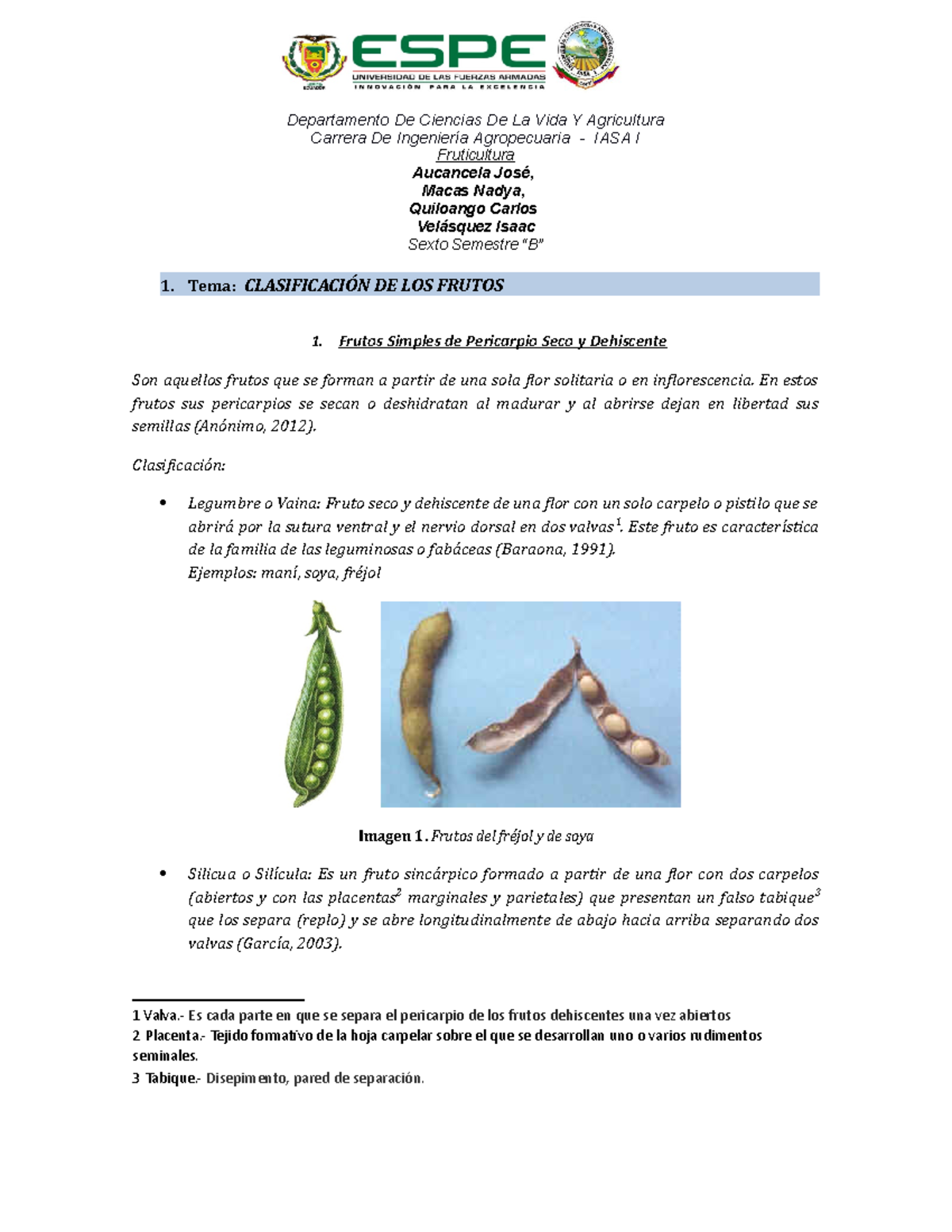 Clasificacion de los frutos - Departamento De Ciencias De La Vida Y ...