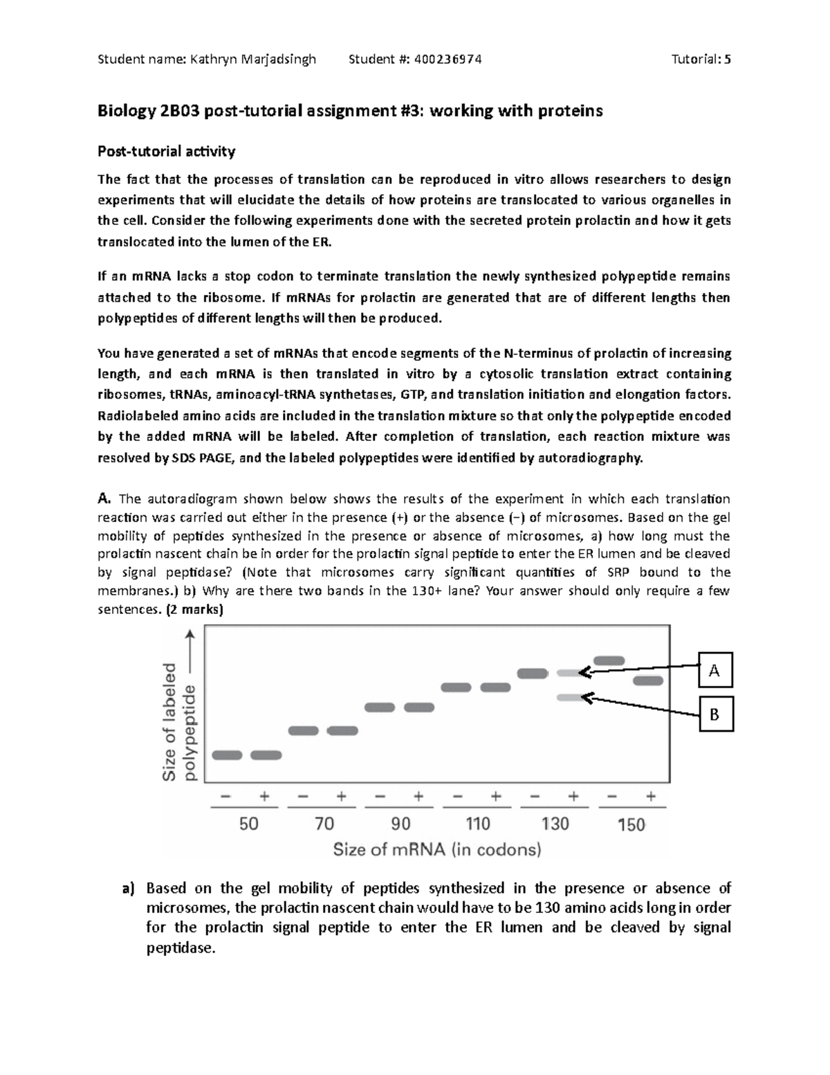 Tutorial 3 Assignment - ASSIGNEMNT 3 - Student name: Kathryn ...