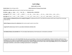 Virtual Scenario Blood transfusion-Kognito - Module Report Simulation ...