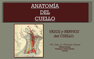 1. Unidad I - Cuello (Generalidades, Regiones, Triángulos, Fascias y ...