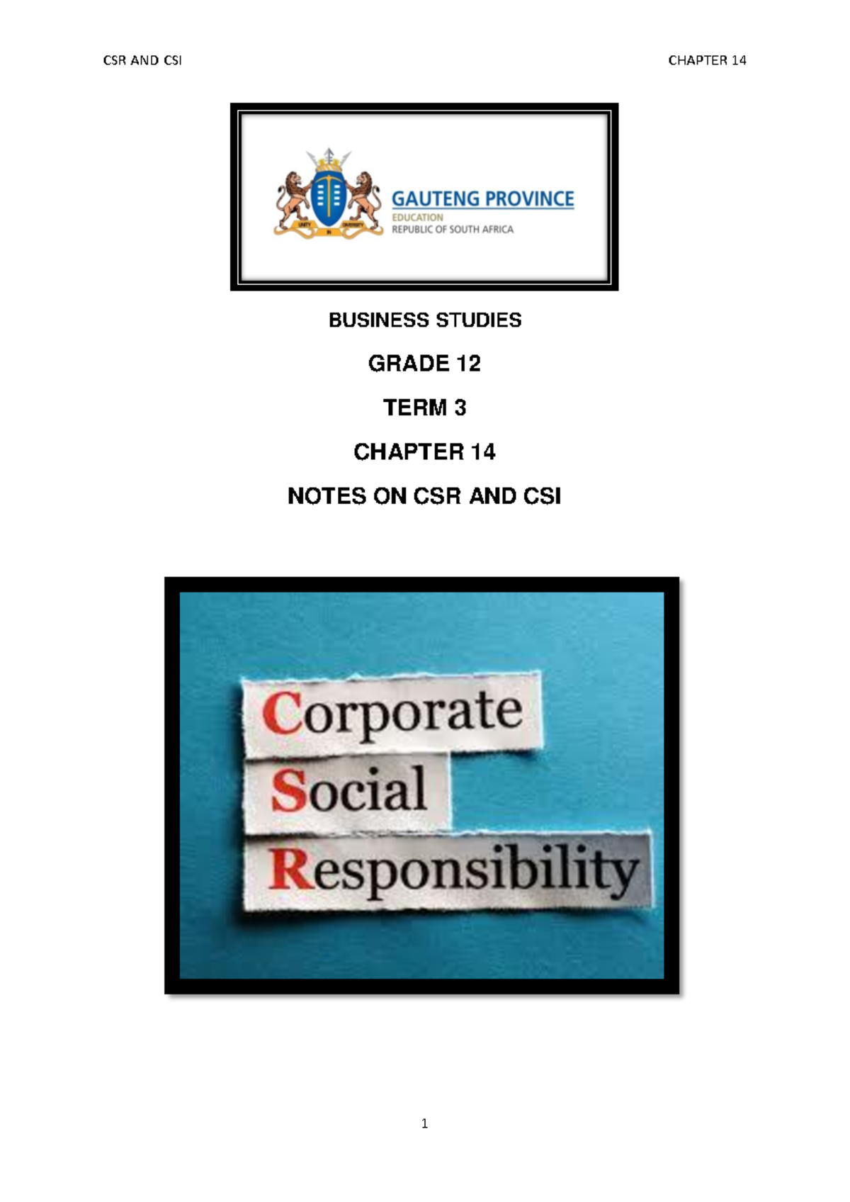 Chapter 14 CSR AND CSI - Study hard - BUSINESS STUDIES GRADE 12 TERM 3 ...