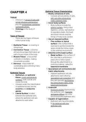 Mthapp 100LAB LAB 11 Overview OF THE Skeleton - MTHAPP100LAB – ANATOMY ...