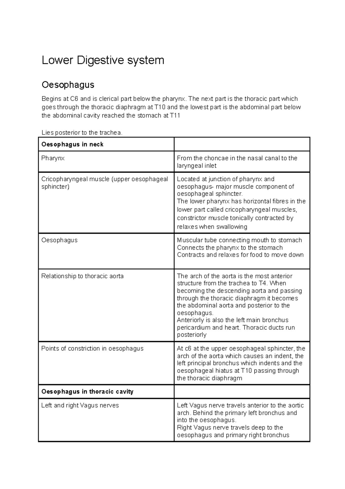 Lower Digestive system Dictionary - Lower Digestive system Oesophagus ...