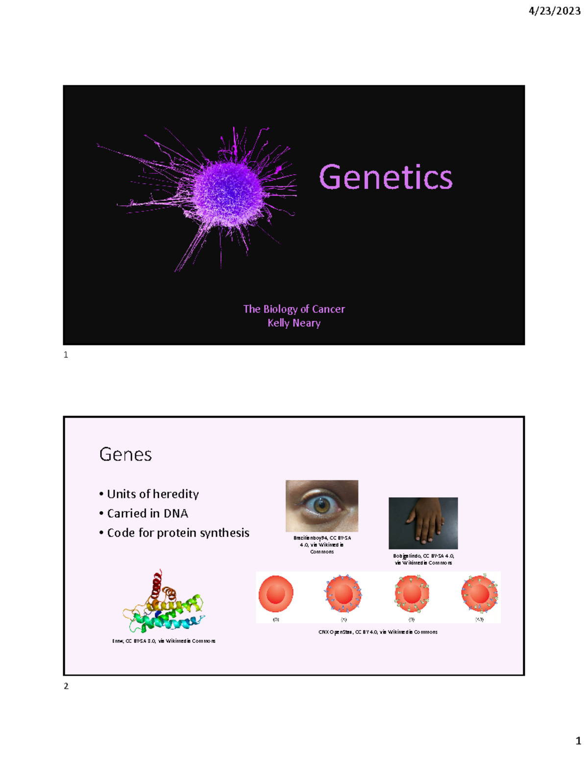 Lecture 2 - Genetics The Biology of Cancer Kelly Neary Genes • Units of ...