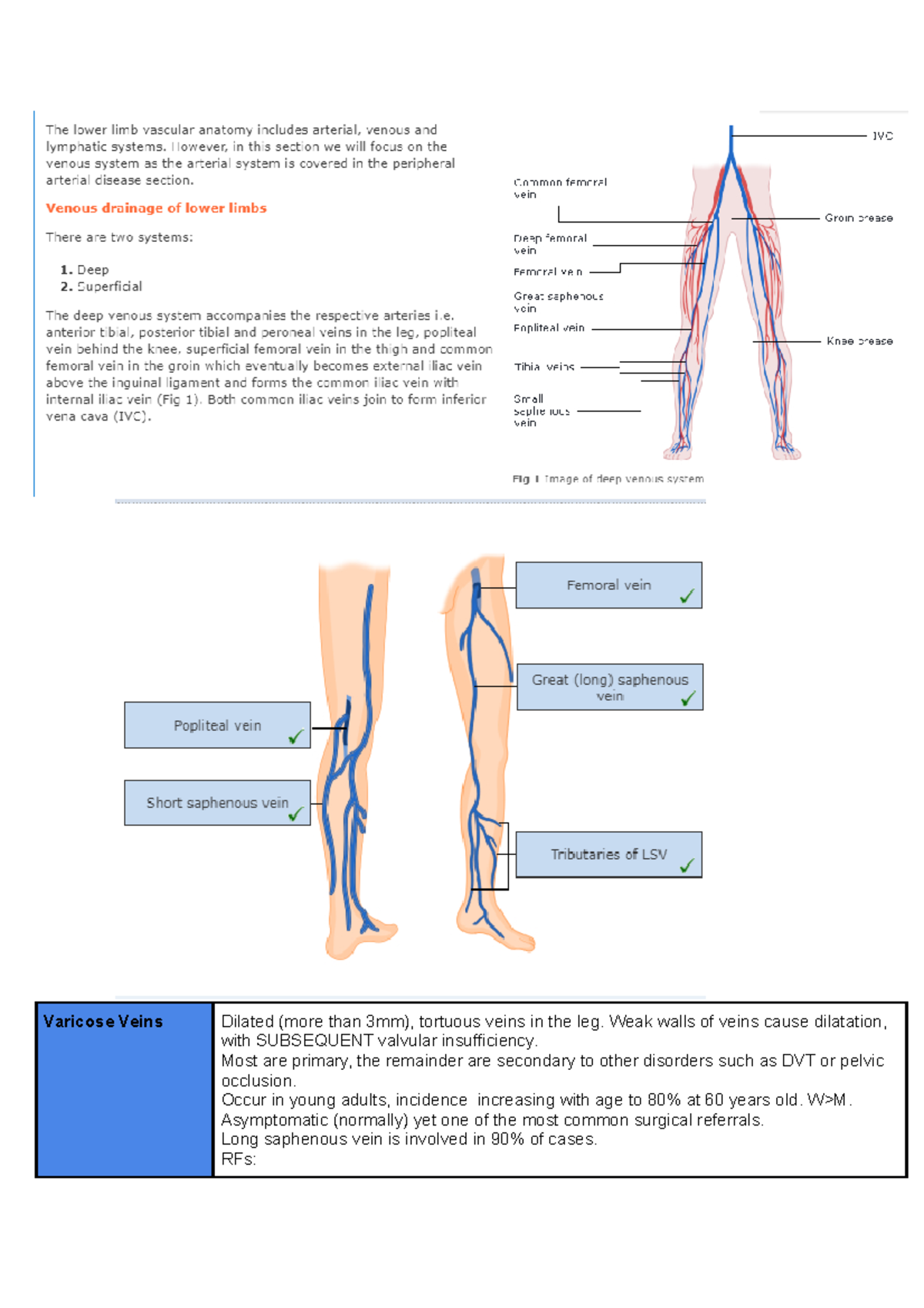 Varicose Veins - Lecture notes Year 4 Cardiology - Varicose Veins ...