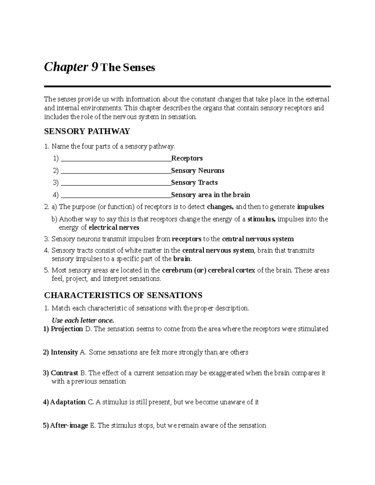 Chapter 9 answer keys.docx - Chapter 9 The Senses The senses provide us ...