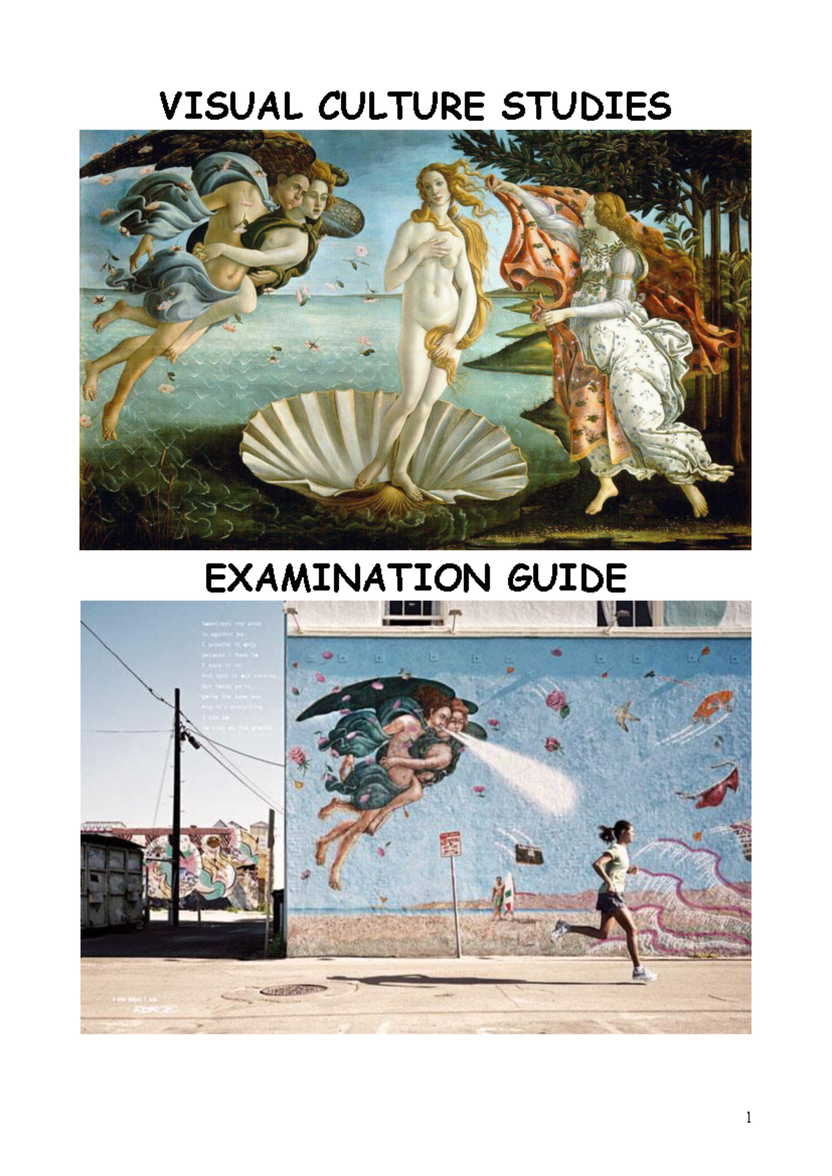 Visual arts Examination guidelines - VISUAL CULTURE STUDIES EXAMINATION ...