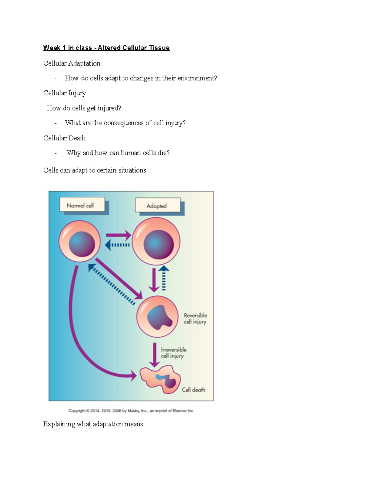 Patho 1-5 in class and online - Week 1 in class - Altered Cellular ...