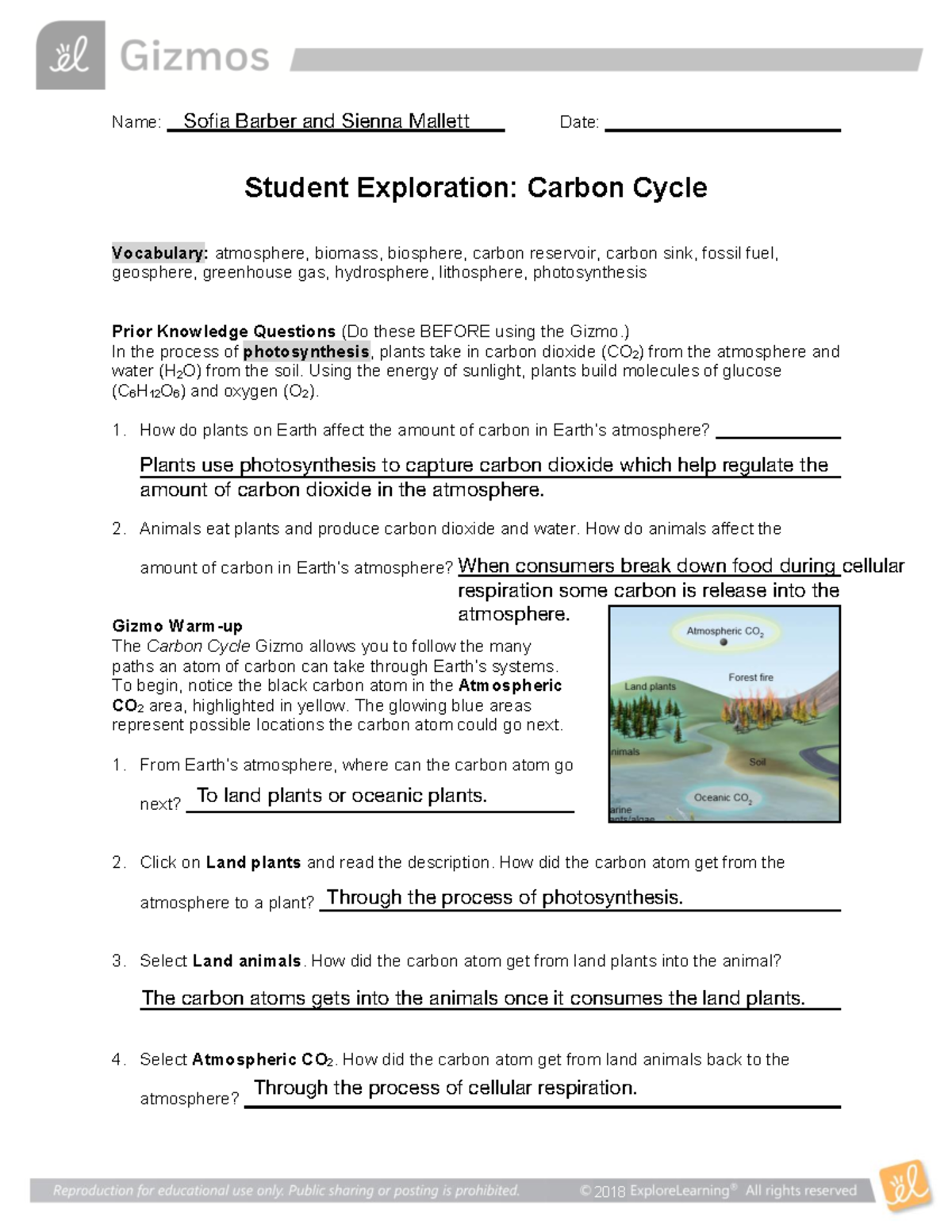 Carbon Cycle SE - Name: Date: Student Exploration: Carbon Cycle ...
