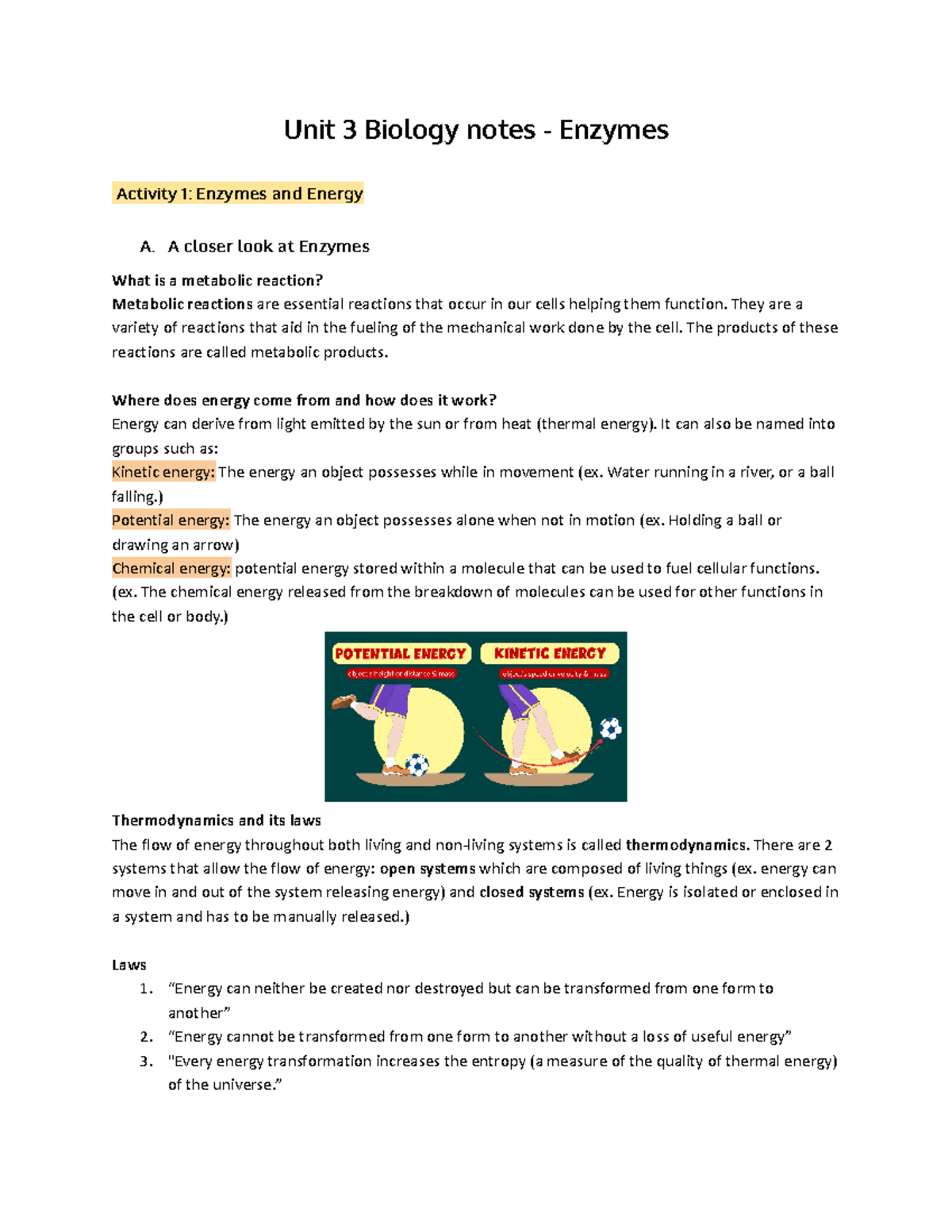 Unit 3 biology notes - Enzymes - Unit 3 Biology notes - Enzymes ...